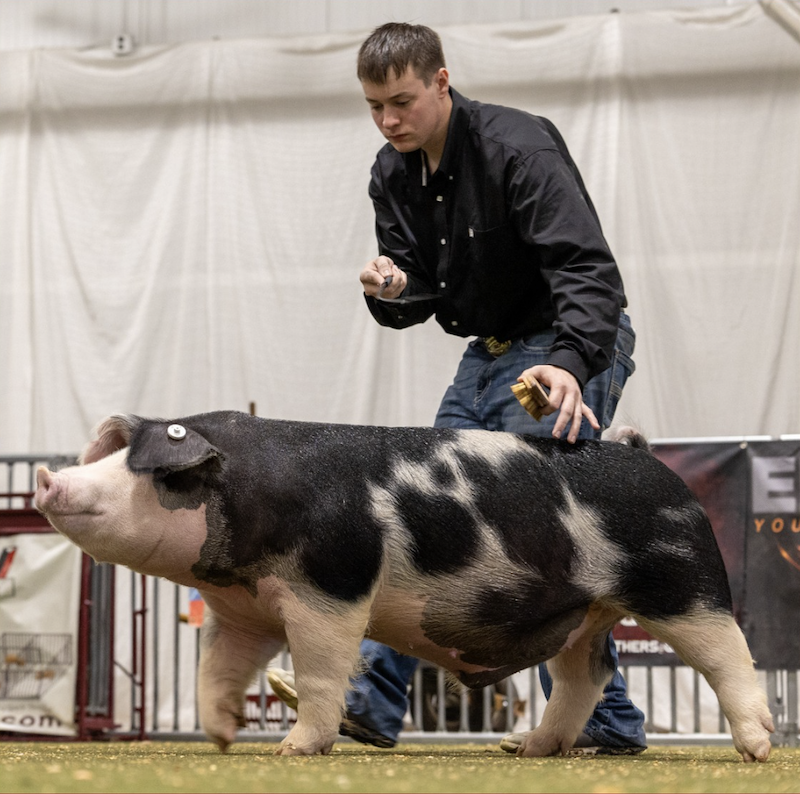 2024 Winners - Herren Genetics